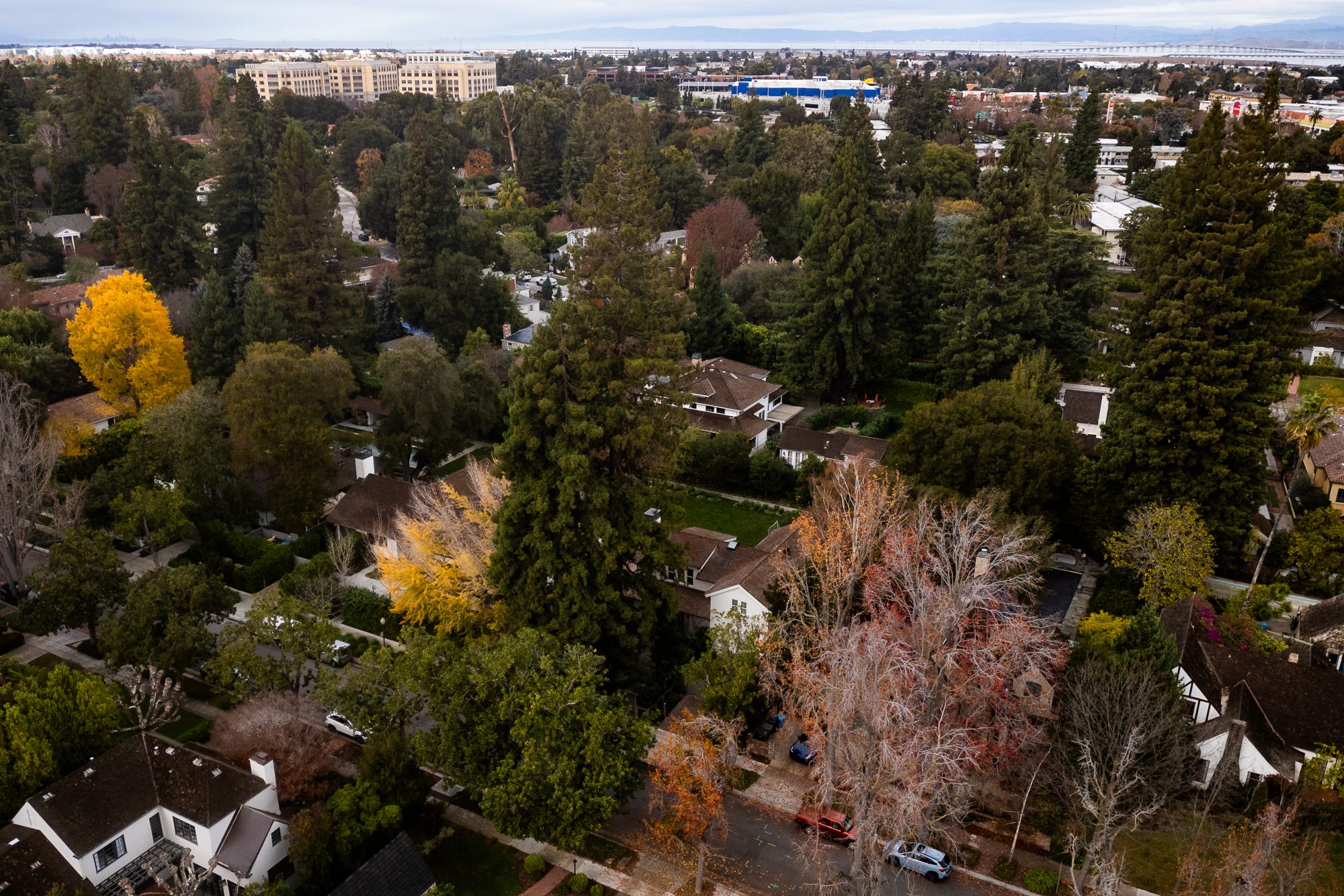 Palo Alto tries to rein in Zuckerberg’s Crescent Park expansion - San ...