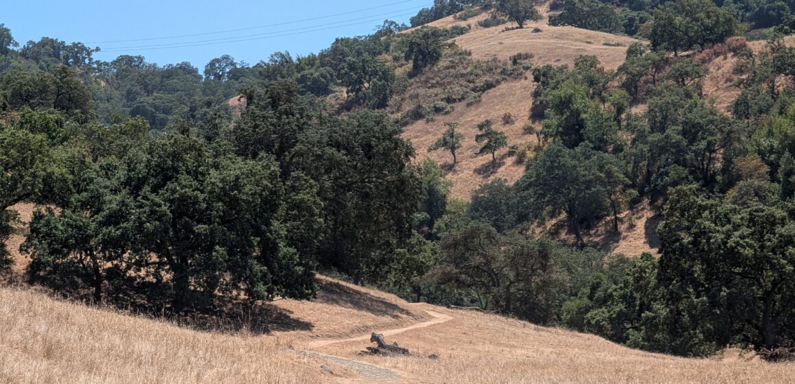 Parcel tax helps preserve Santa Clara County open space - San José ...